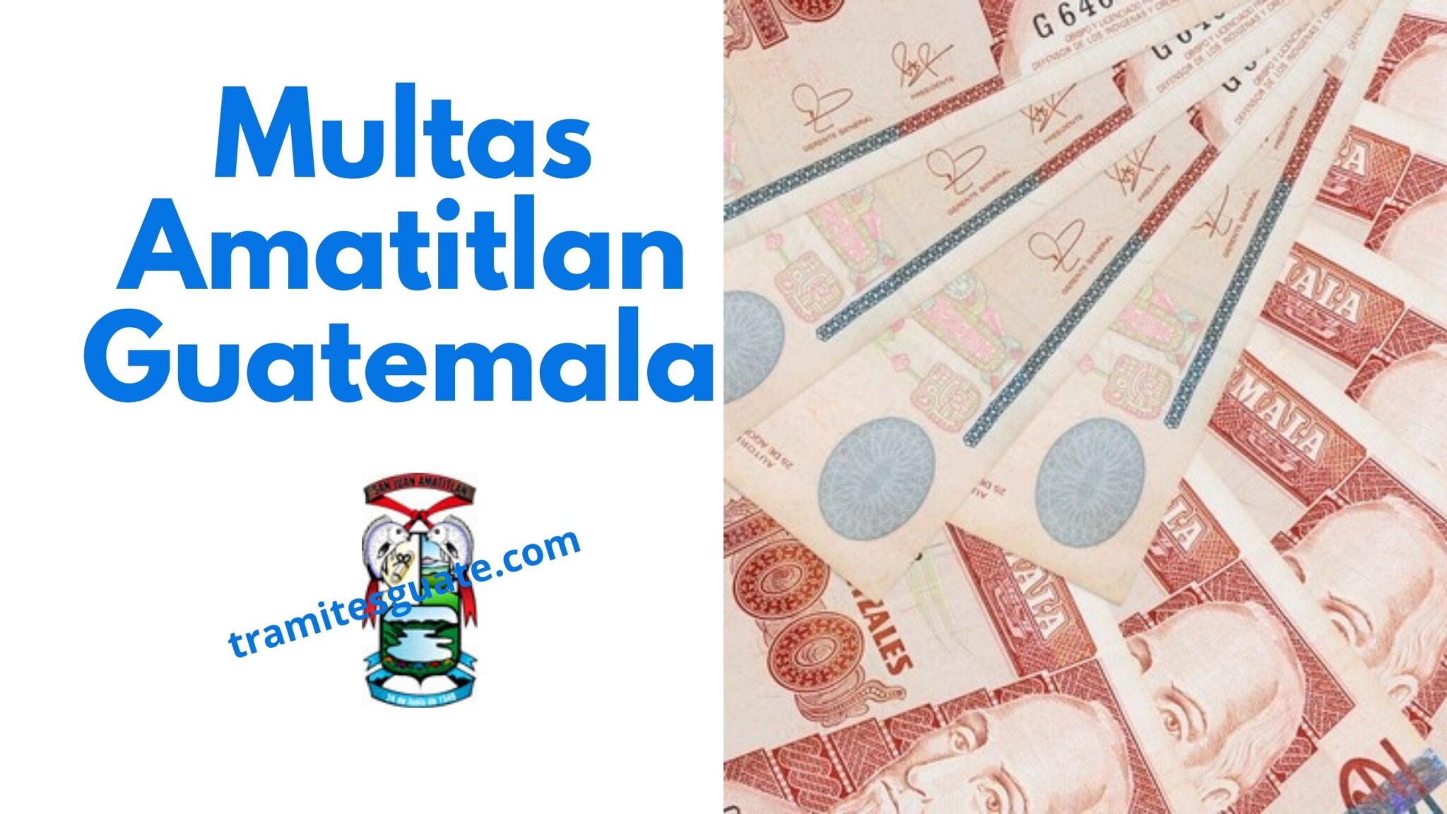 Multas EMETRA Guatemala / Consultas y Pagos | TramitesGuate