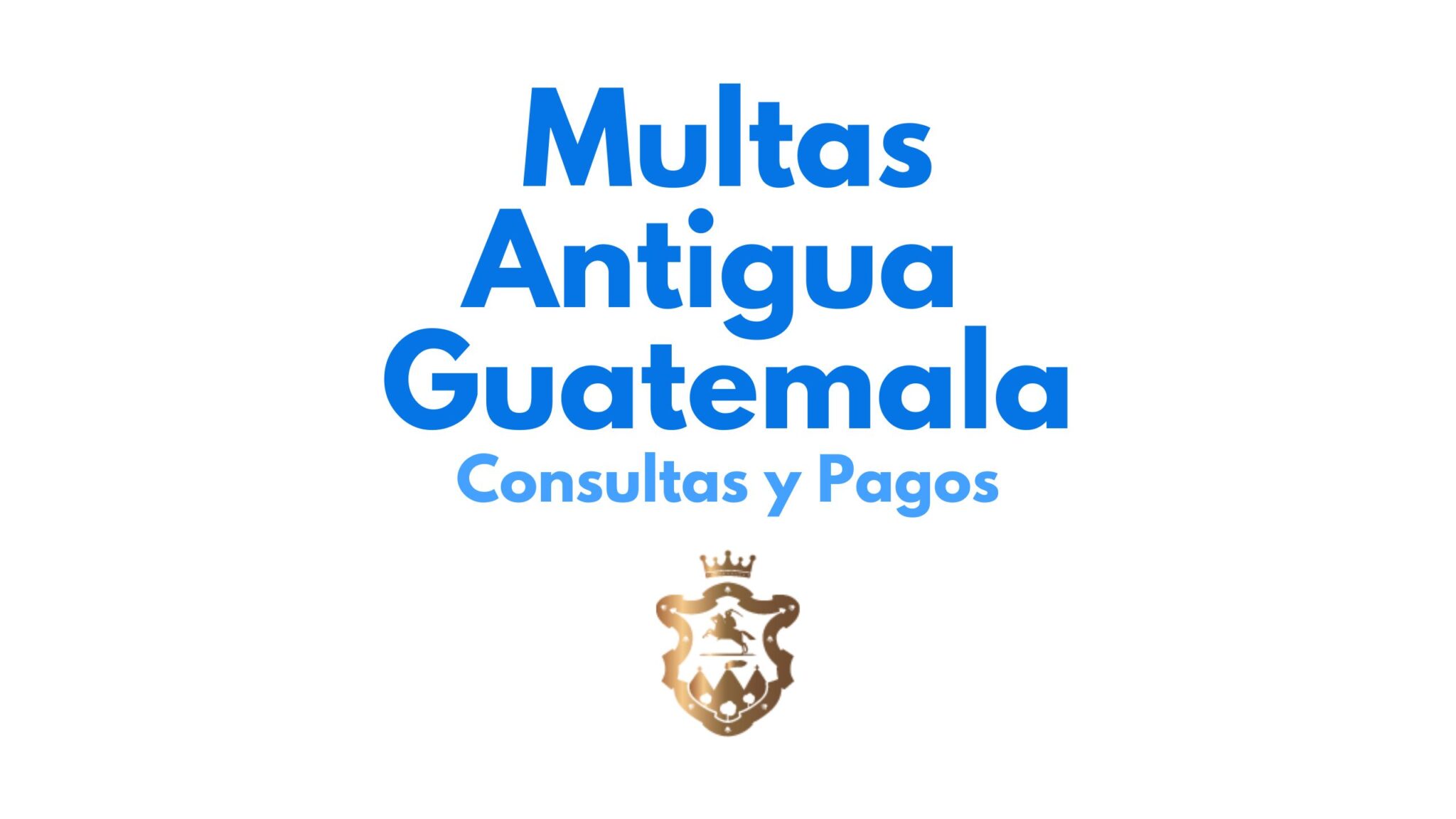 Multas de tránsito Guatemala / Consulta y Pagos